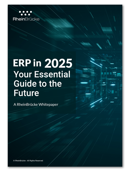 ERP Guide 2025 - A detailed comparison of the top ERP Systems